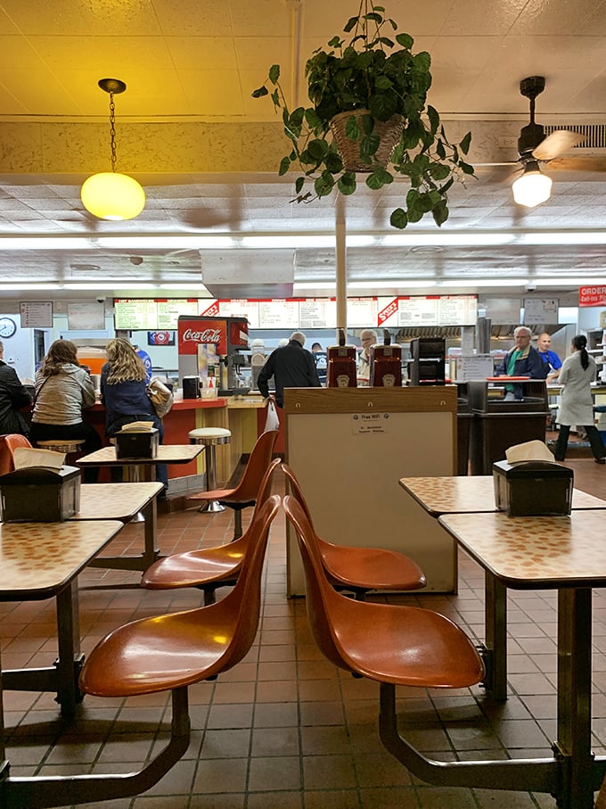 The dining area hums with the energy of regulars and newcomers alike. Those hanging plants have seen more delicious meals than most food critics.