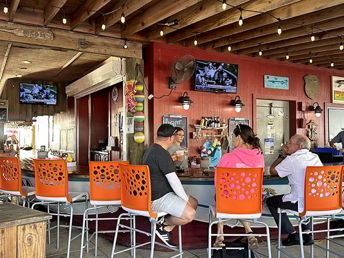 The outdoor bar—where strangers become friends over cold beers, sports debates, and the shared wisdom that life is better in flip-flops.
