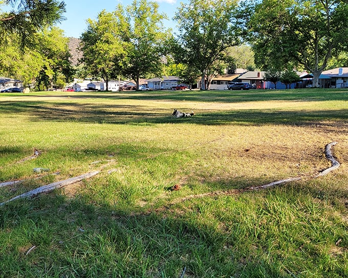 Discovery Park offers a green respite from urban hustle – though in Yreka, "urban hustle" is relative. Nature and neighborhoods coexist in perfect harmony.
