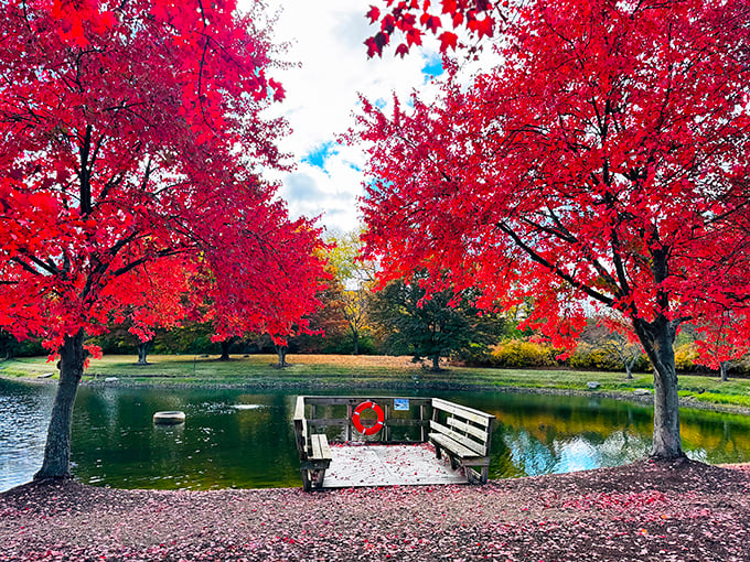 Autumn explodes in crimson glory near Dublin. The Field of Corn isn't the only visual feast this Ohio suburb has to offer