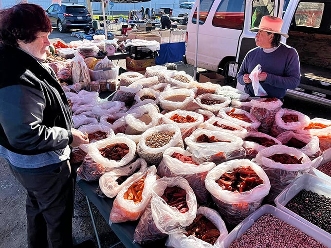 Dried chiles, beans and spices in rainbow formation—the building blocks of countless family dinners waiting to happen.