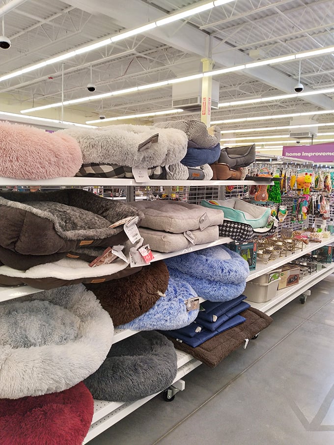 Pet beds so plush you might get jealous. From cozy neutrals to statement colors, Fido's napping game is about to level up.