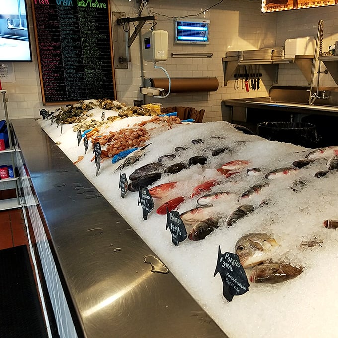 A seafood showcase that makes choosing feel like an impossible task. The ice bed cradles these treasures like the precious cargo they are.
