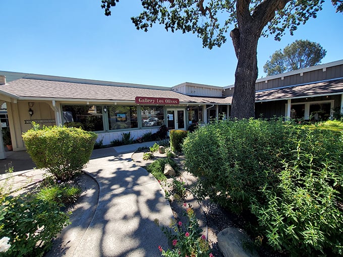 Gallery Los Olivos sits beneath dappled shade, surrounded by gardens that compete with the artwork inside for your aesthetic attention.