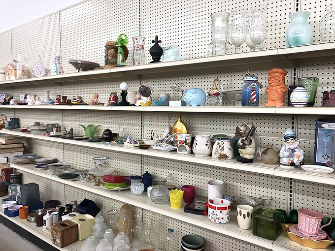 The knick-knack shelves—where ceramic animals and forgotten souvenirs find new purpose or at least entertaining conversation starters.