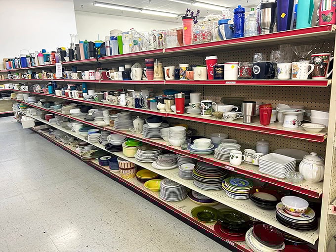 Mug collectors, brace yourselves! From corporate giveaways to quirky sayings, there's a morning coffee vessel here with your name on it.