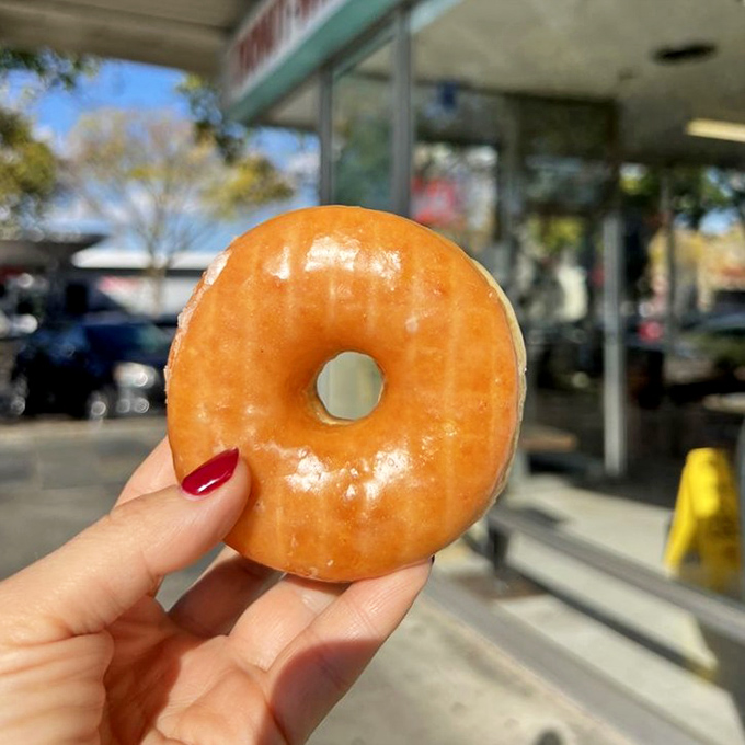 The perfect glazed donut held aloft against blue skies—a simple ring of fried dough transformed into something transcendent.