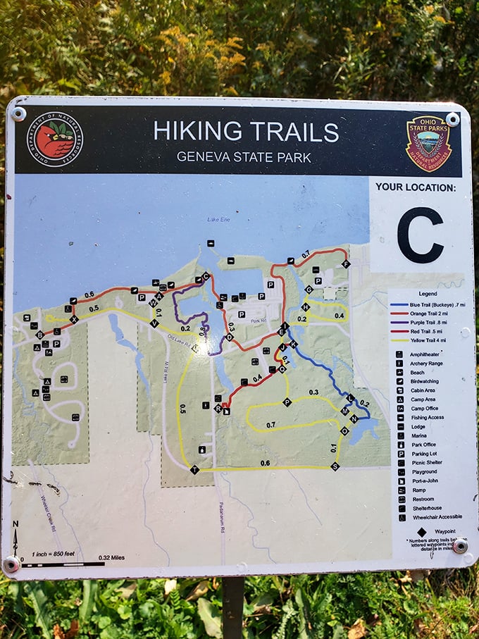 Trail map that promises adventure but conveniently leaves out the mosquito encounters and "was that turn back there?" moments.