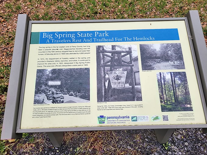 When park information boards become more interesting than most coffee table books you've read.