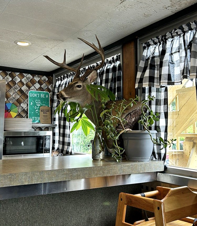Wood paneling and diamond-pattern backsplash—diner design elements that somehow make everything taste 37% more authentic.