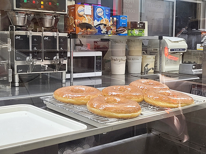 Behind the scenes of donut magic. Fresh glazed donuts cooling on the rack—a behind-the-glass glimpse into the alchemy that turns simple ingredients into edible joy.