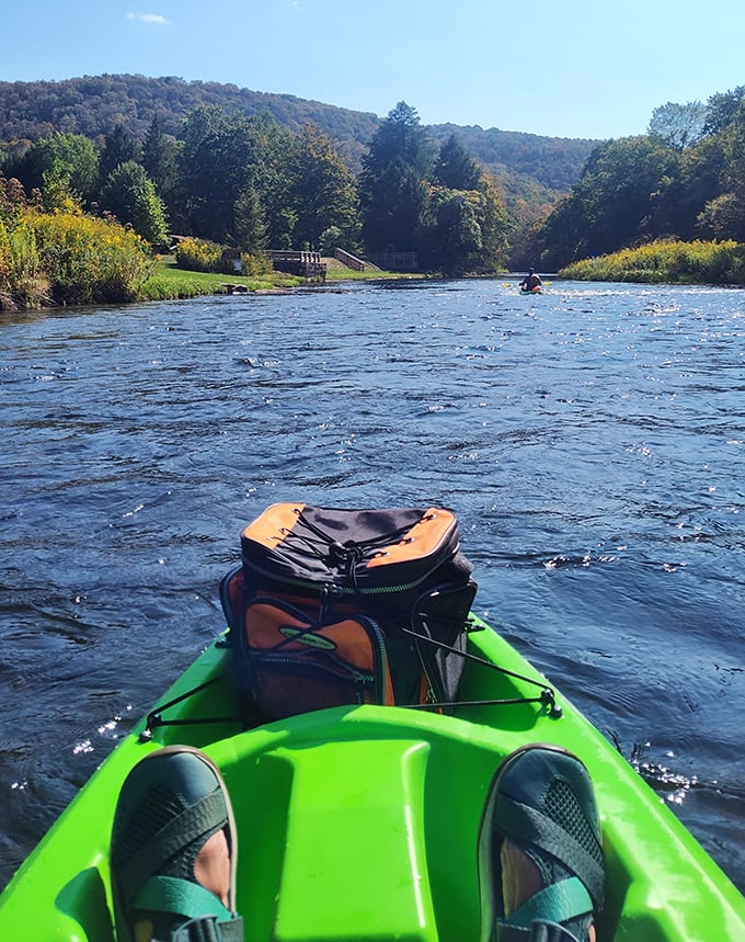 Kayaking the Clarion River – where "going with the flow" isn't just good advice, it's literally what you're doing. Adventure awaits around every bend.
