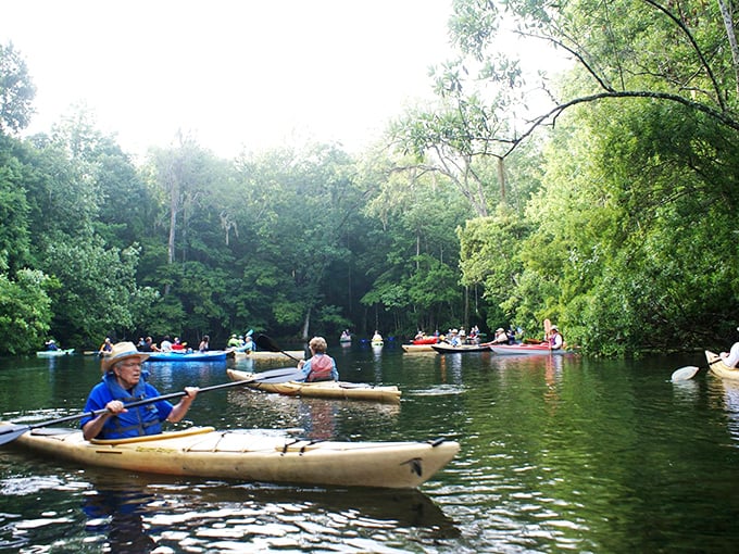 Kayaking through cypress-lined waters—where the only traffic jam involves turtles sunning themselves on fallen logs.