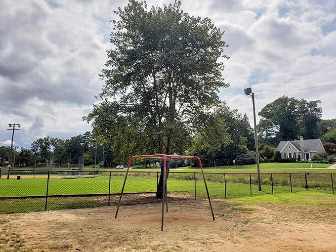 Neighborhood parks like Linley offer simple pleasures that expensive resorts can't match. That swing set has probably launched more grandparent-grandchild conversations than any iPad game.