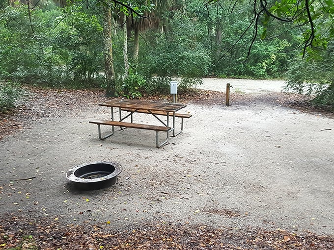 Camping simplicity at its finest—just a picnic table, fire ring, and enough trees to pretend you're the only humans left on Earth.