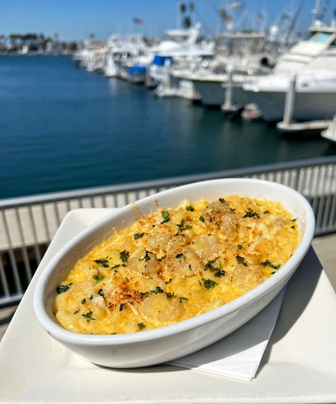 Mac and cheese with a million-dollar view – comfort food elevated to destination dining with boats bobbing in the background.