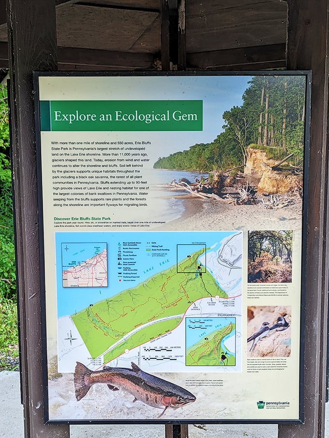 Maps don't just show you where to go—they show you what's possible. This ecological gem packs more diverse habitats into 587 acres than seems physically possible.