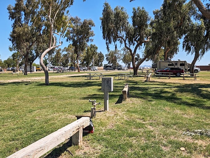 Mayflower County Park welcomes RV enthusiasts with shade trees and breathing room—luxuries that crowded coastal campgrounds can only dream about.