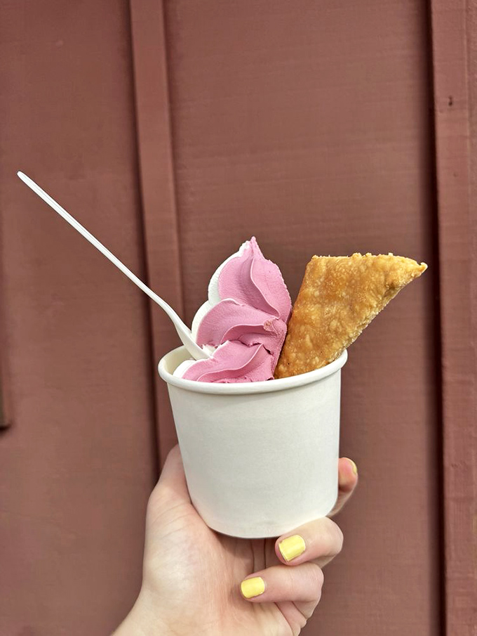 Olallieberry swirl ice cream that tastes like summer decided to take permanent residence in your mouth. 
