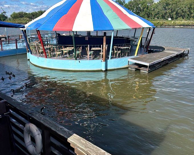 A floating tiki bar on the Grand River? Someone clearly understood the assignment of making Ohio feel like a tropical getaway.
