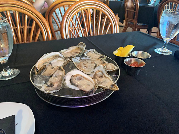 Freshly shucked oysters on ice—nature's perfect appetizer, requiring nothing more than a squeeze of lemon and a moment of gratitude.