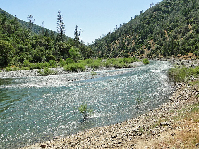 Clear waters and clearer skies—the American River offers nature's version of meditation, no app required.