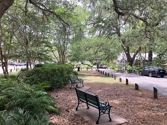 Park benches invite you to slow down and observe—a pastime that's practically mandatory in Micanopy's oak-shaded public spaces.