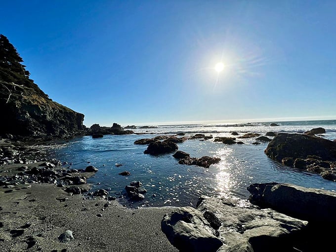 Morning light transforms tide pools into nature's jewelry boxes. Each rock cradles miniature worlds waiting to be discovered.