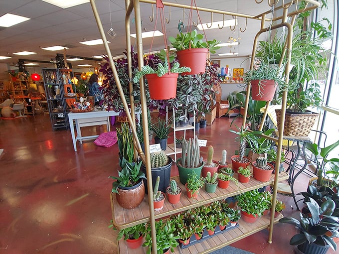 Plant parents, beware—you'll enter with innocent browsing intentions and leave as the reluctant adoptive guardian of seventeen new green babies.