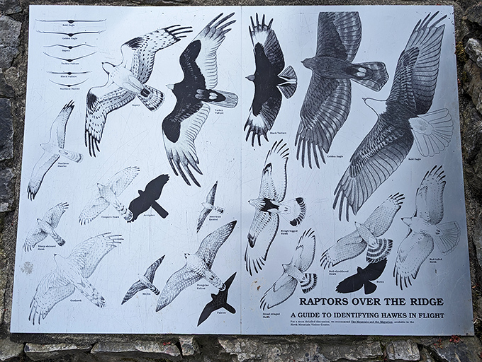 The original bird-watching app. This identification guide has been helping visitors spot the difference between "hawk" and "really cool hawk" for decades.