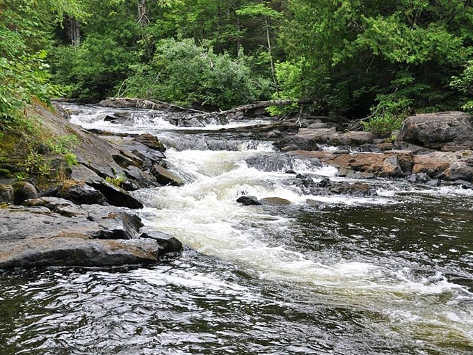 The Paint River cascades over ancient rocks, creating nature's soundtrack that no Spotify playlist could ever hope to replicate.