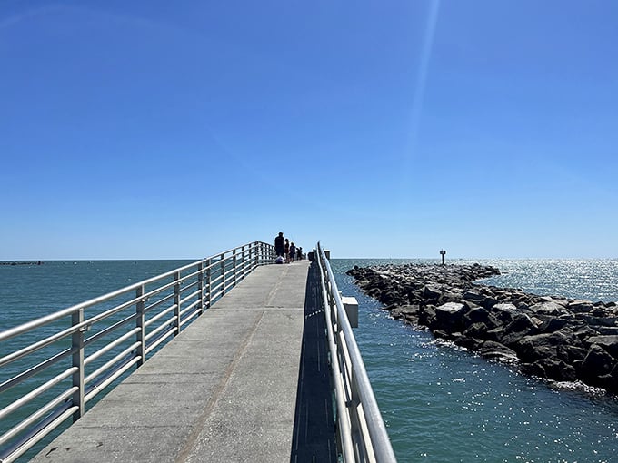 The fishing pier extends like a welcome mat to the Atlantic, where pelicans and anglers form an unlikely but harmonious retirement community.