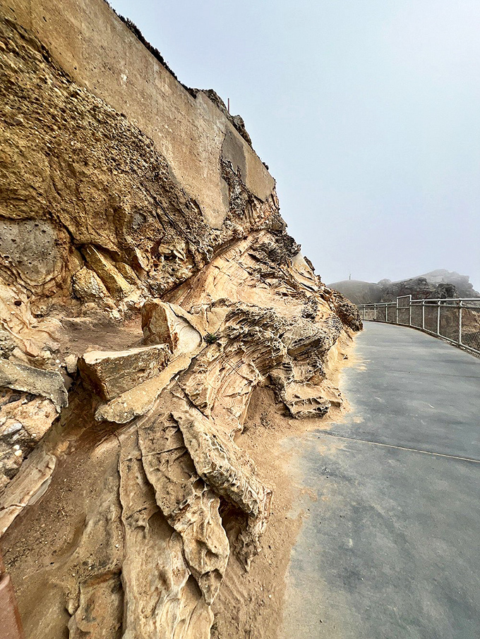 Nature's sculptural genius on display. These rock formations have been perfecting their poses for millennia—no wonder they look so good.