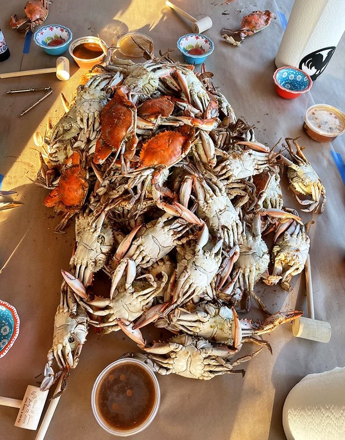 A mountain of steamed crabs transforms any table into a proper Maryland-style feast worth celebrating together.