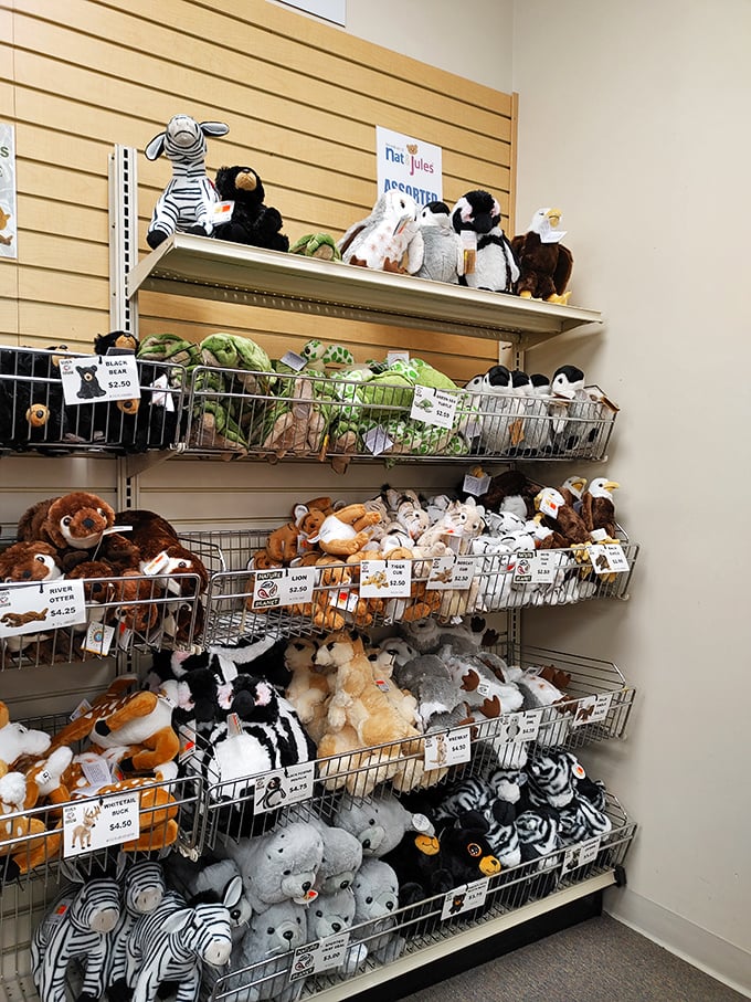 Stuffed animals with personality to spare. That zebra is judging your life choices, but in the most adorable way possible.