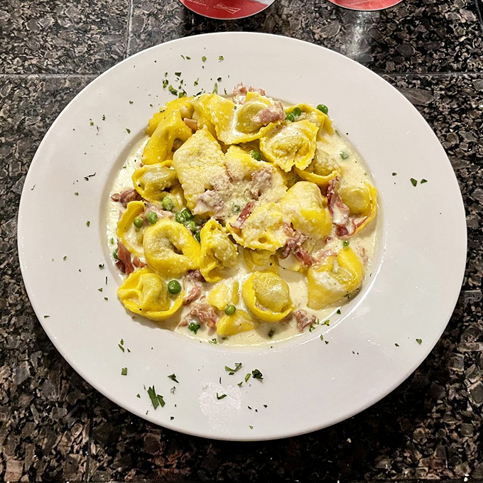 Plump tortellini swimming in cream sauce - like little flavor-packed life preservers in a sea you'd happily drown in.