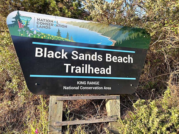 Your official invitation to adventure—this sign marks the gateway to California's most dramatically different beach experience.