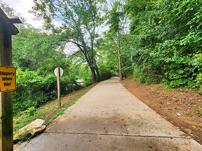 The path less traveled still comes with clear signage. "Slippery When Wet" – nature's version of stating the obvious.