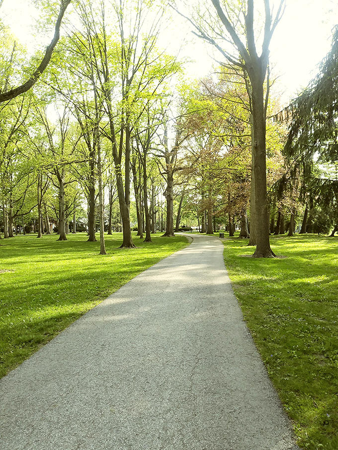 Dappled sunlight filters through ancient trees along this trail, creating nature's own stained-glass effect on an ordinary Tuesday afternoon.
