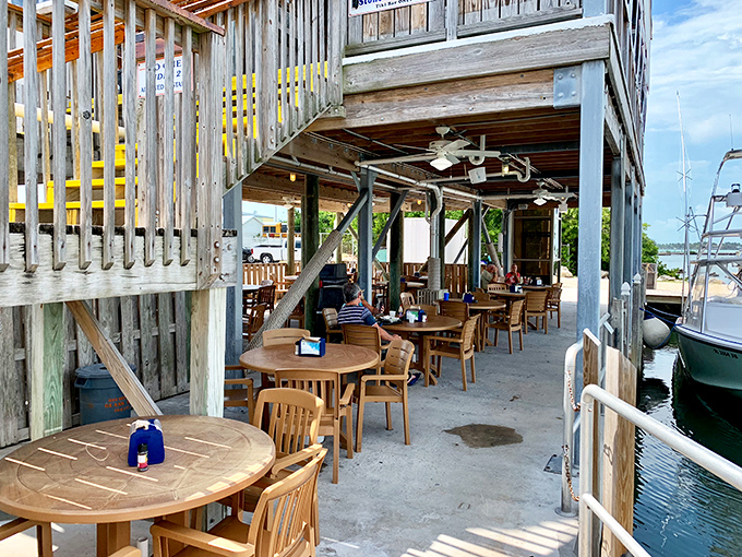 Dockside dining under weathered wood. The boats bobbing nearby aren't just decoration—they're your meal's origin story.