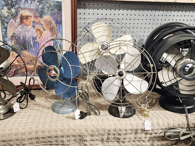 The original air conditioning! These vintage electric fans represent industrial design at its most beautiful – and they still work better than some modern appliances.