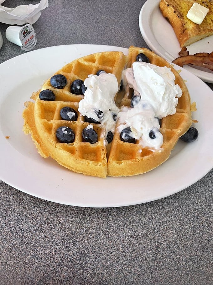 A waffle that's both canvas and masterpiece, with blueberries and whipped cream playing the starring roles. Breakfast or dessert? Yes.