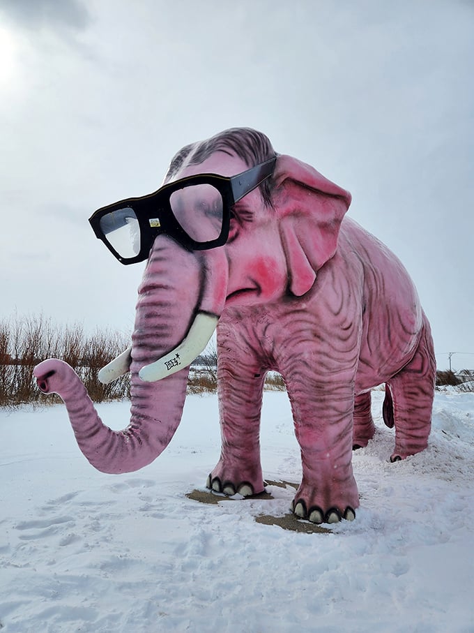 Snow can't dampen this elephant's style. The pink pops even more dramatically against Wisconsin's winter white landscape.