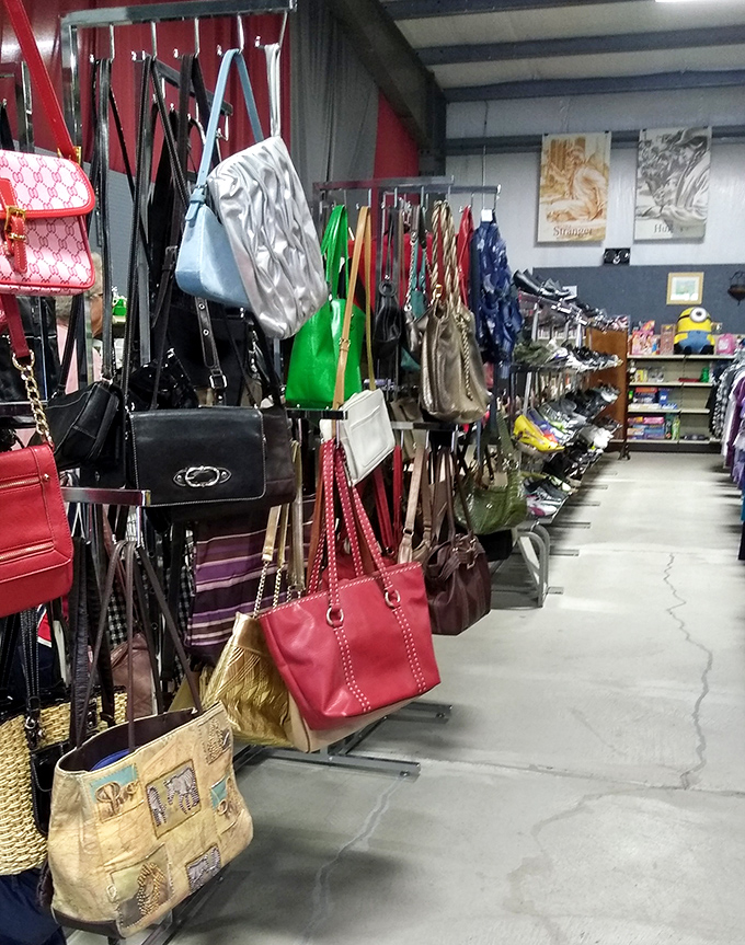 Handbag heaven! Every purse tells a story—some are bestsellers, others quirky novellas. That pink leather number is calling my name.