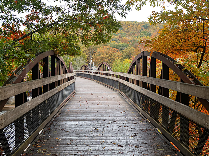 This bridge doesn't just connect two points—it's a portal to autumn magic. Walking across feels like stepping into a living watercolor painting.