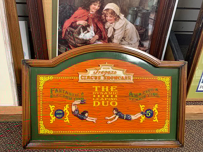 Vintage circus art that transforms any wall from boring to conversation piece—the kind of find that makes you do a victory dance in aisle three.