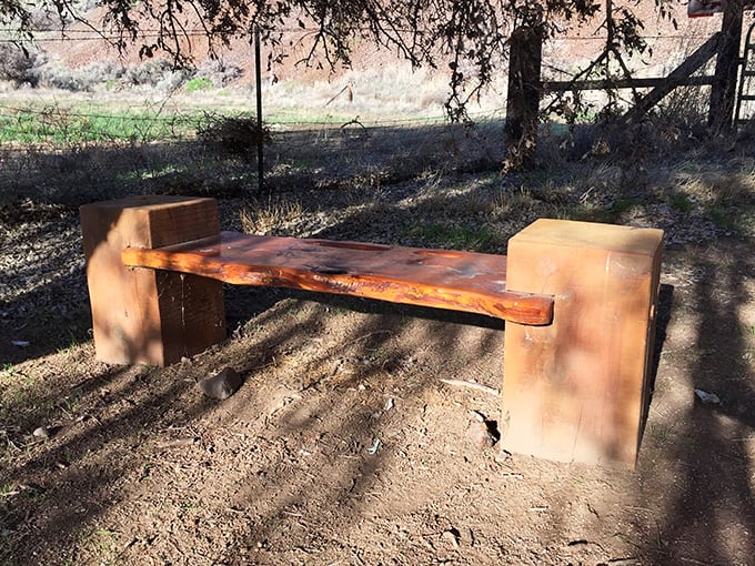 This isn't just a bench – it's the world's most exclusive theater seat for watching the desert's daily performance.