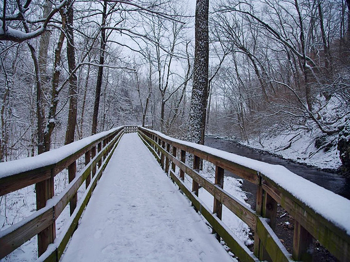 Winter transforms the boardwalk into a snow-dusted pathway through a frozen wonderland. Narnia has nothing on Dublin, Ohio in January!