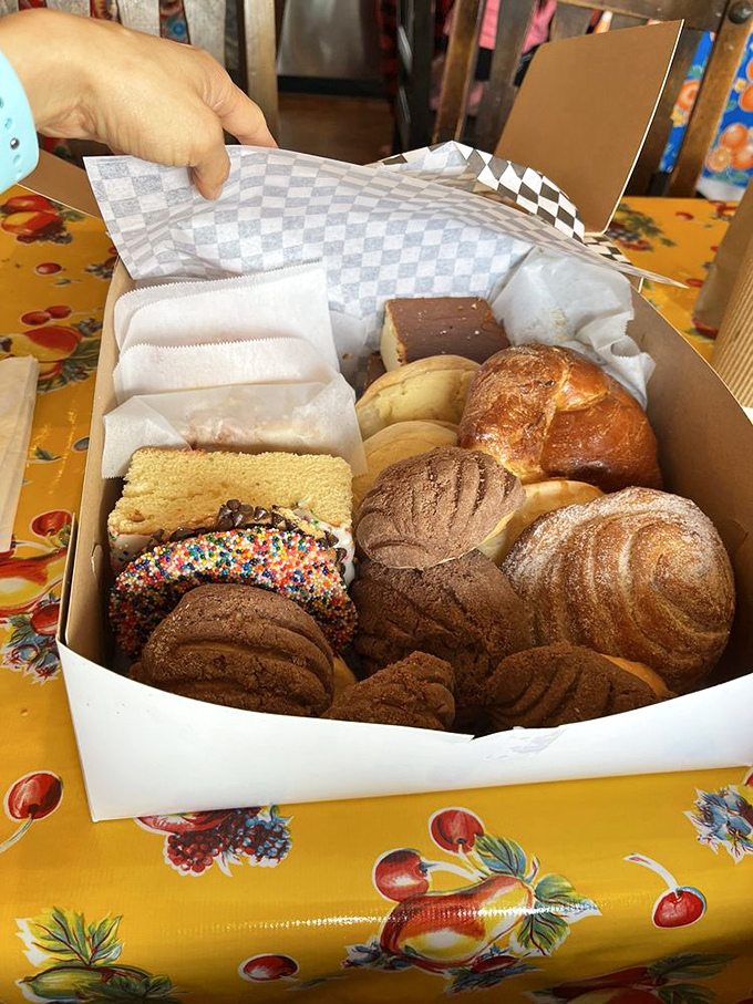 The pastry box—where self-control goes to die and "I'll just have one" becomes the day's most hilarious joke.