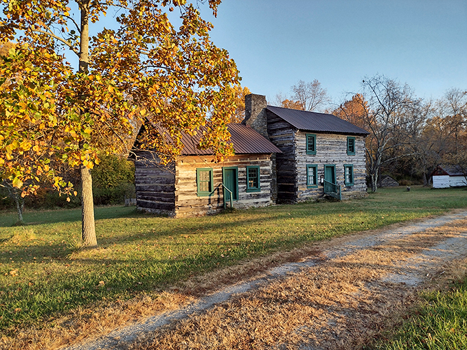 Pioneer cabins whisper stories of simpler times beneath autumn's golden canopy. History you can touch without setting off museum alarms.